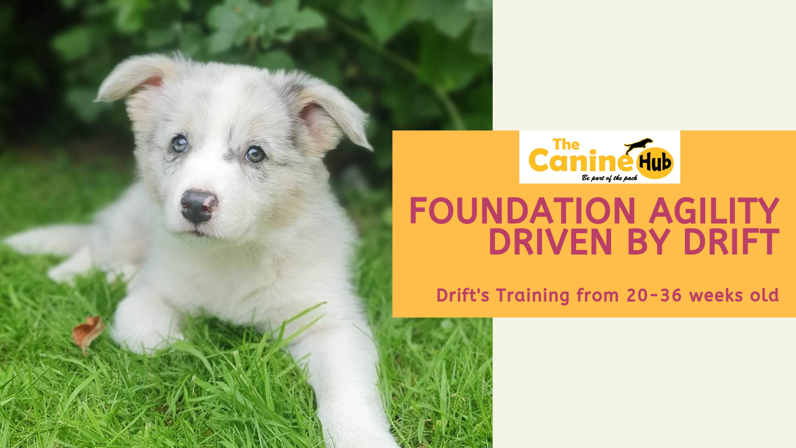 Agility for Beginners – The Foundations That Make All the Difference ...